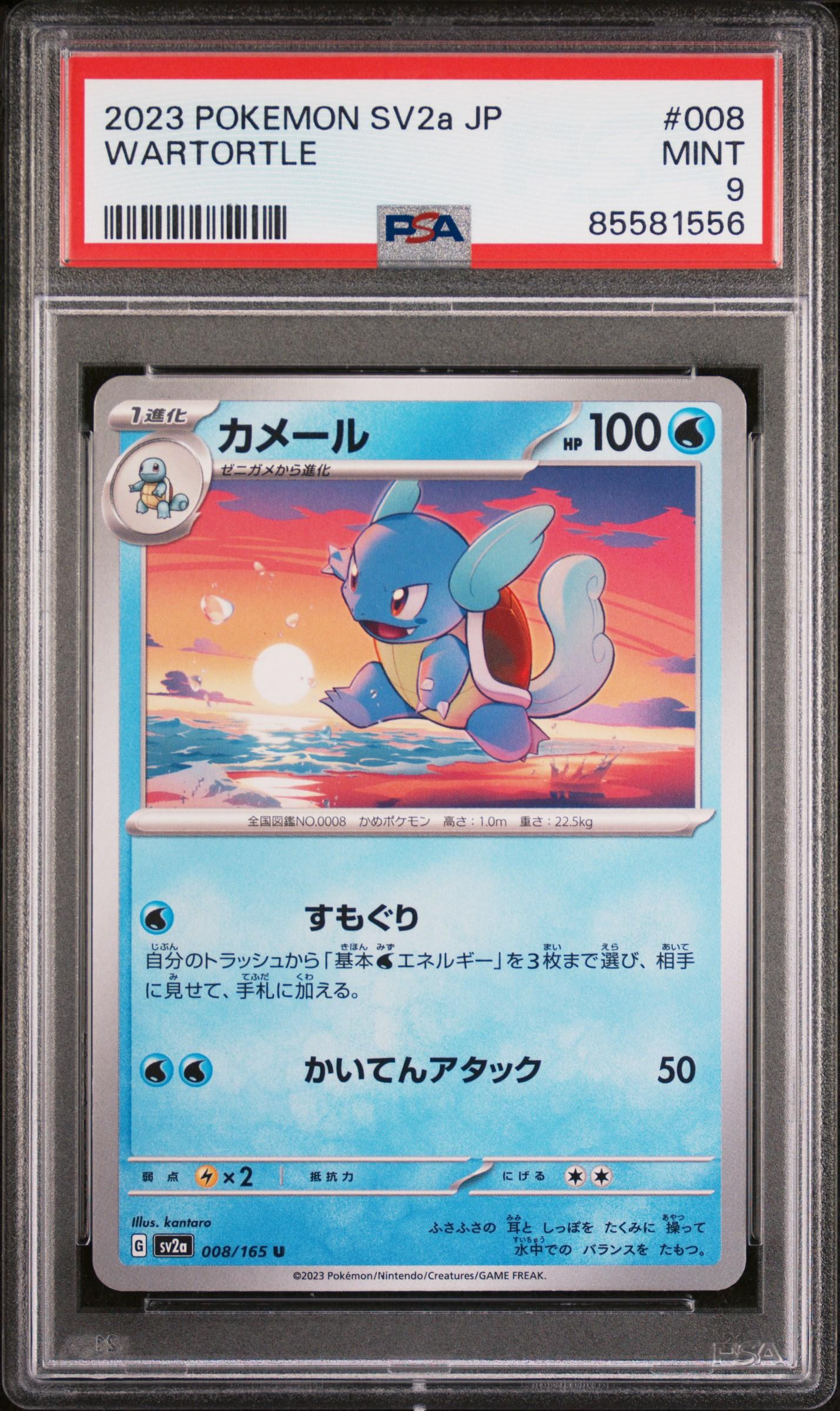 2023 Pokémon Japanese Sv2a-pokemon 151 #008 Wartortle PSA 9 | Rare Candy
