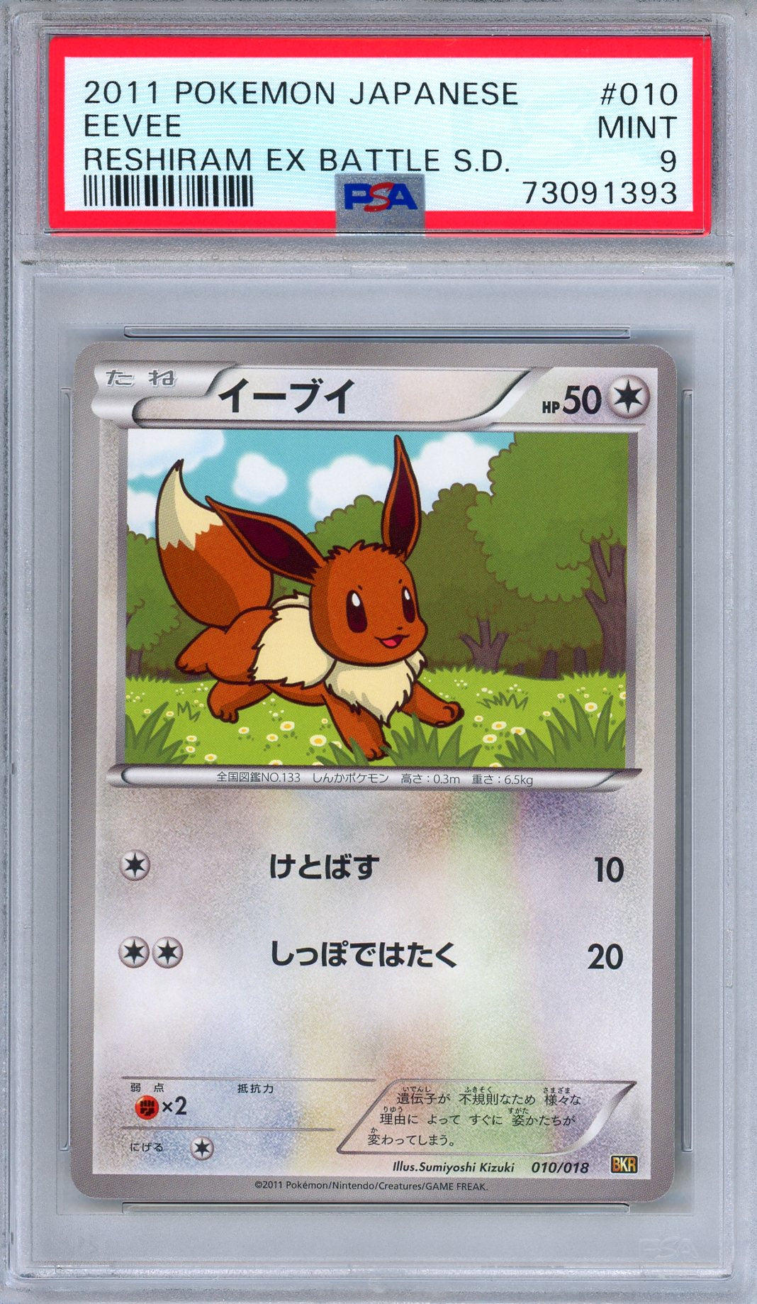 PSA 9 Eevee 010/018 Reshiram EX Battle Strength Deck Pokemon | Rare Candy
