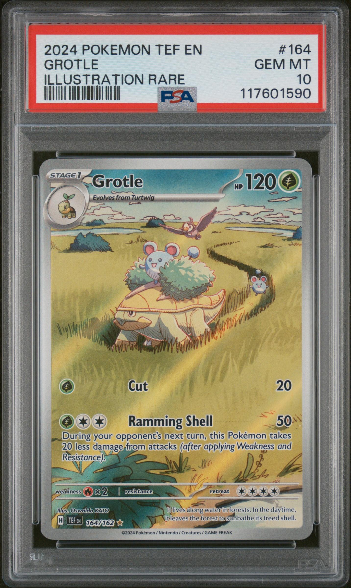 2024 Pokemon Tef En-Temporal Forces Illustration Rare Grotle #164 PSA ...