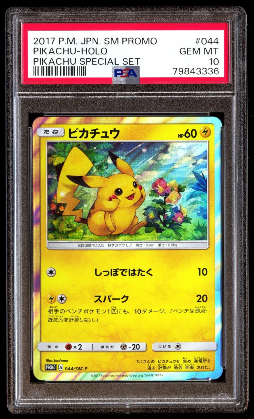 PSA 10 Gem Mint Pikachu 044/SM-P Special Set 2017 Japanese Pokemon Card Graded | Rare Candy